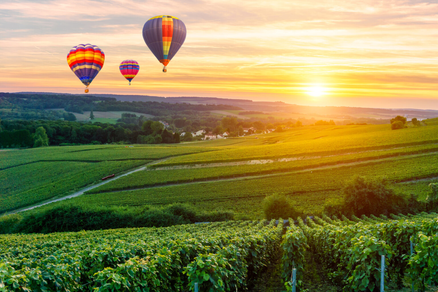The Best Wine Regions of France & French Vineyards To Put On Your Itinerary