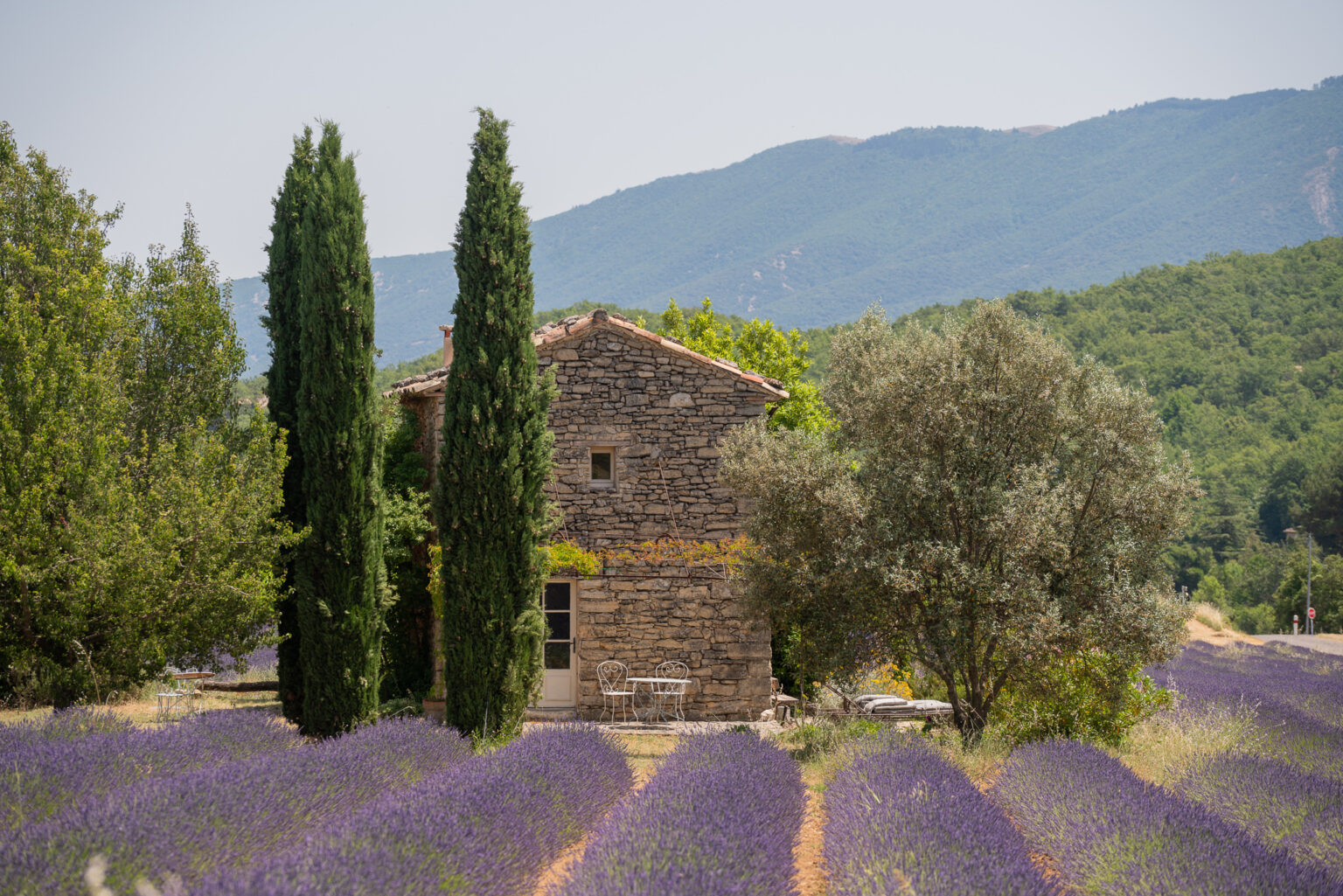 Visiting the Luberon Lavender Fields of Provence, France