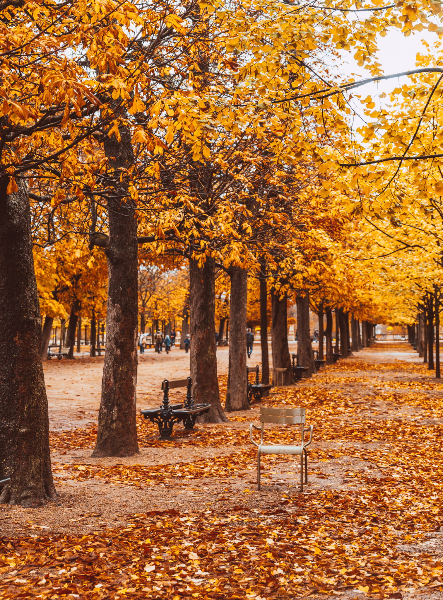 Visiting France in Autumn (Where to go in Fall in France)