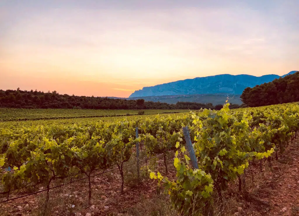 Best Wineries in Provence, France (to Visit in 2023!) - Le Long Weekend