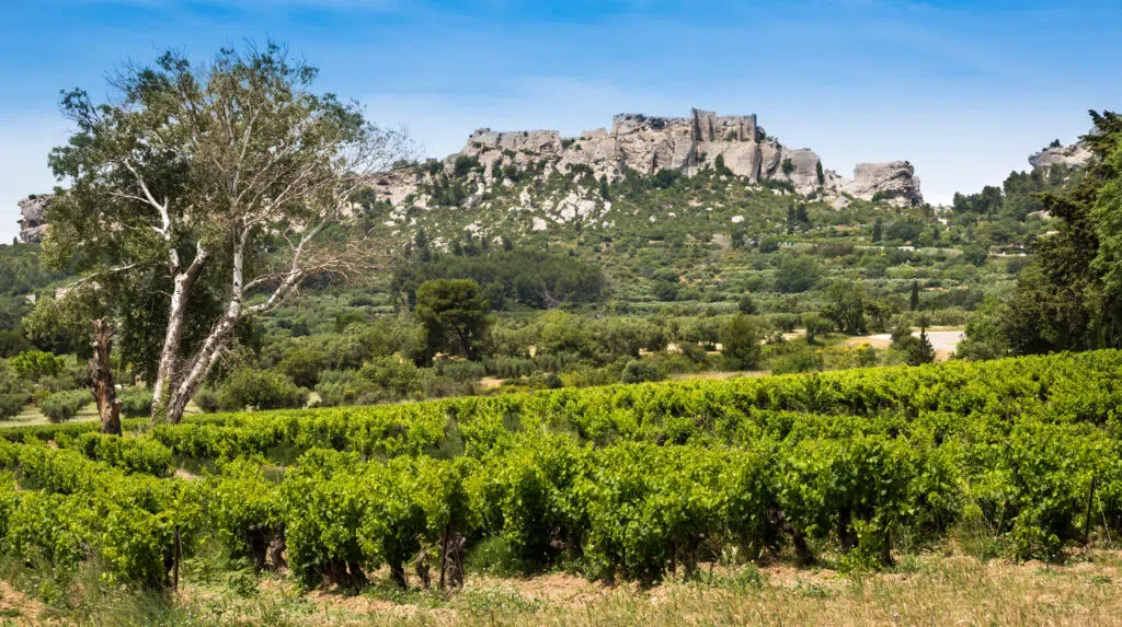 Best Wineries in Provence, France (to Visit in 2023!) - Le Long Weekend