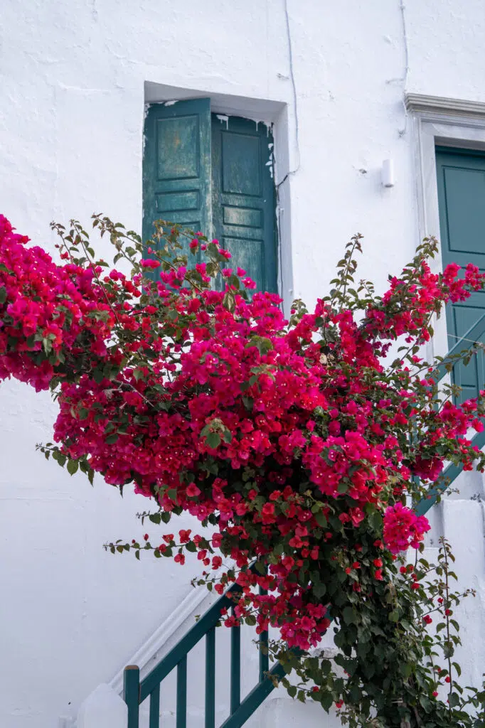 Island Hopping in the Cyclades - Everything you Need to Know!