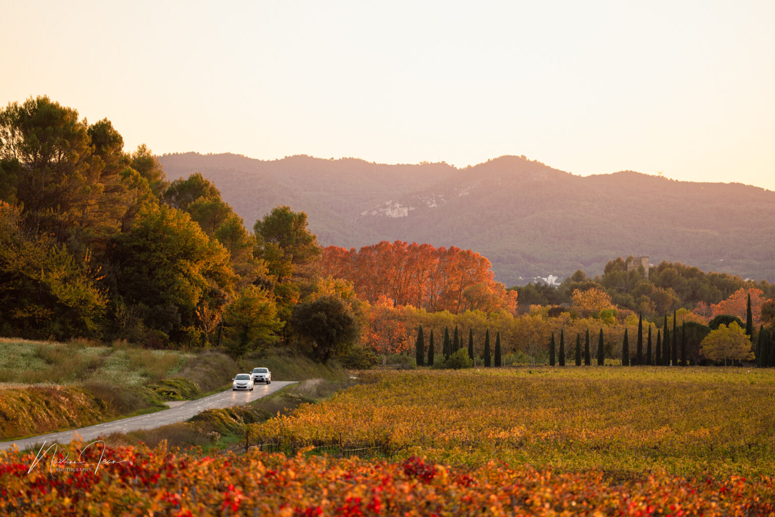 Provence Through My Lens: 20 Photos That Will Fuel Your Wanderlust